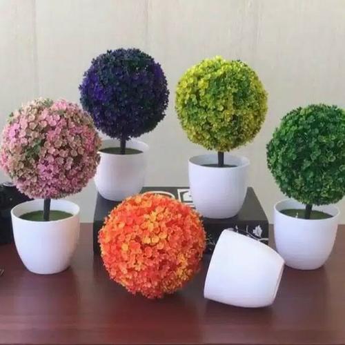 Jual Tanaman Hias Indoor Pot Vas Bunga Bulat Plastik Unik Gantung ...