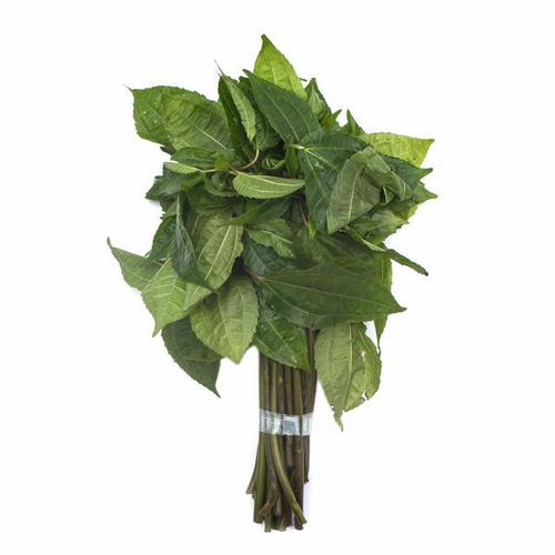 Jual daun popohan ikat - Jakarta Timur - 07fresh | Tokopedia
