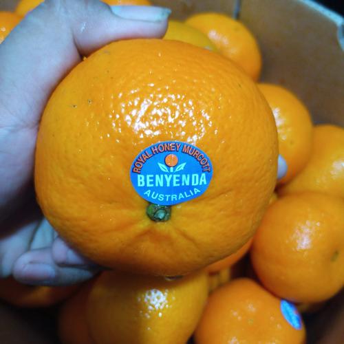 Jual JERUK ROYAL HONEY MURCCOT AUSTRALIA PER 1 KG - Jakarta Utara ...