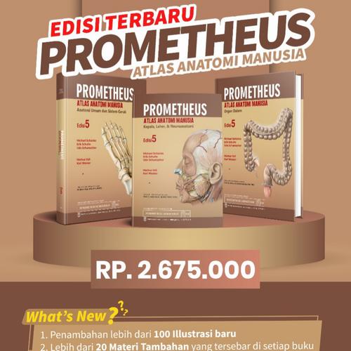 Jual (NEW)(ORIGINAL) PROMETHEUS ATLAS ANATOMI MANUSIA EDISI 5 ISI 3 ...