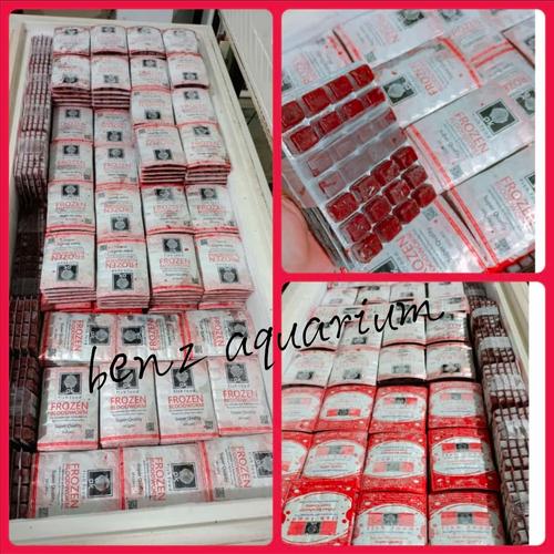 Jual Frozen Bloodworm Cacing Beku Tray 28 Kapsul 500gr - Kota Depok ...