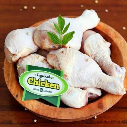 Jual PAHA PENTUL /DRUM STICK AYAM ORGANIK | AYAM PROBIOTIK | NATURAL ...