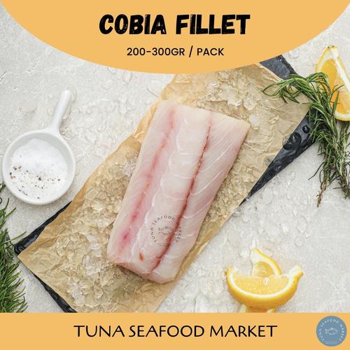 Jual ikan Gabus Fillet / King Cobia Fillet - 150-200 gr - Jakarta Utara ...