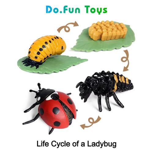 Jual Animal Figure Life Cycle of a Lady Bug / Siklus Hidup Binatang ...