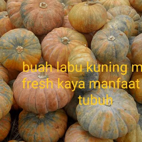 Jual buah labu kuning fresh perbuah - 3kg - Jakarta Barat - Toko buah ...