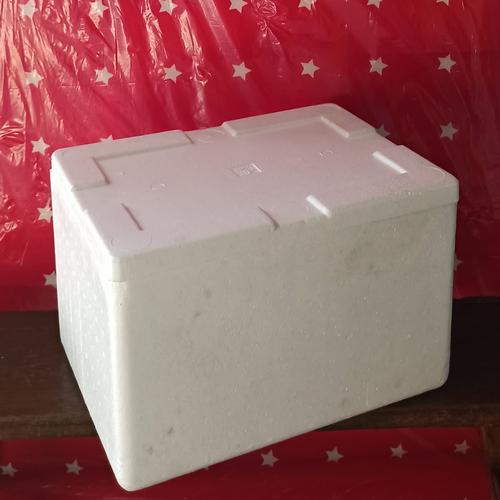 Jual Box Gabus / Box Penahan Dingin 52x37x33 | GRAB DAN GOSEND INSTANT ...