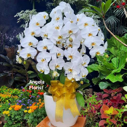 Jual 100% Garansi - Rangkaian bunga Anggrek Bulan | Rangkaian Anggrek ...