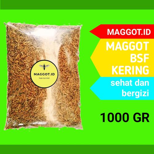Jual Maggot Bsf Magot Kering Premium Magot Oven Pakan Ikan Koi Burung ...