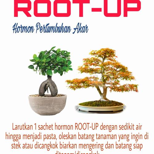 Jual Root-Up hormon perang-sang akar untuk stek dan cangkok kemasan ...