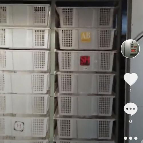 Jual mesin tetas setter hatcher kapasitas 10000 telur - Kab. Sukoharjo ...