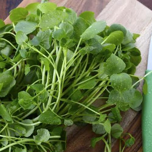 Jual Selada Air Segar - 1 ikat - Jakarta Selatan - Sayur Mpok Jasmine ...