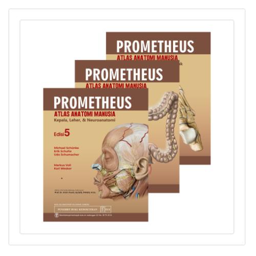 Jual Prometheus Atlas Anatomi Manusia Edisi 5 (SET 3 BUKU) - Kota ...