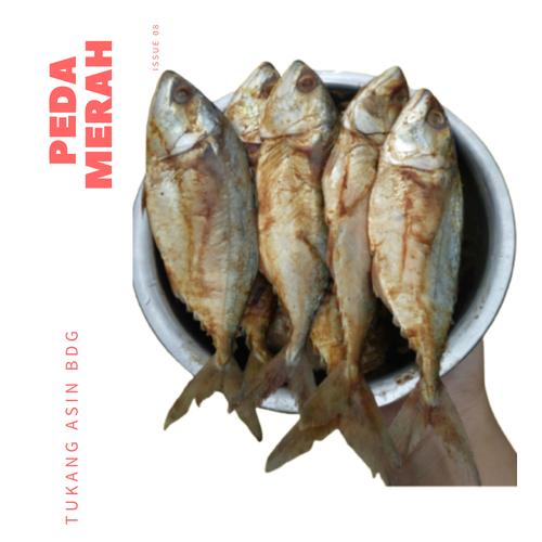 Jual IKAN ASIN PEDA MERAH GRADE A 500 gr - jumbo, 1 kg - Kab. Bandung ...
