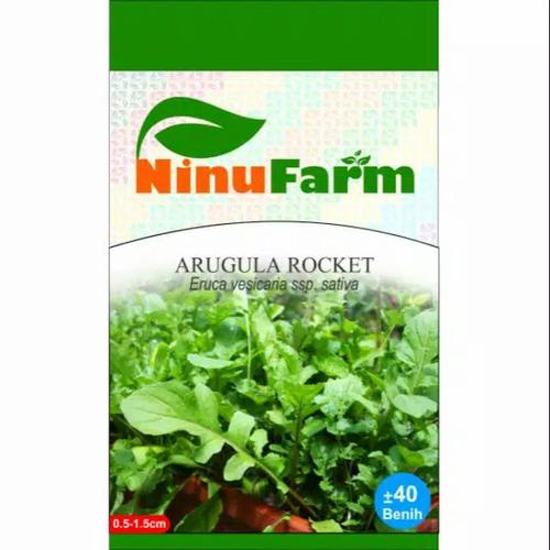 Jual Bebih Bibit Arugula Rocket / Bibit Sayur Daun Hijau Unik ...