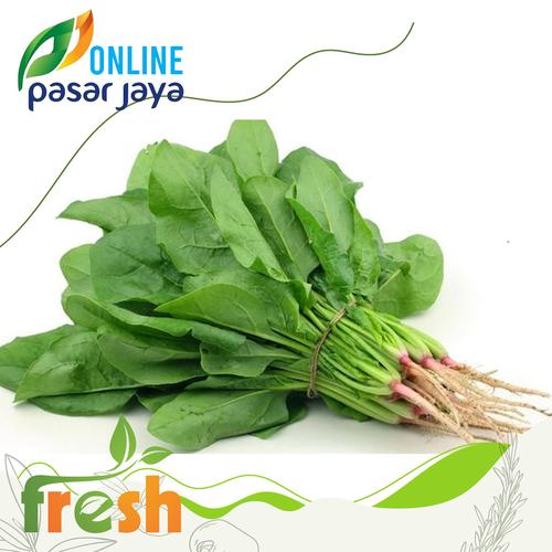 Jual Sayur Bayam Segar - 1 Ikat - Jakarta Selatan - Pasar Abu Luqman ...