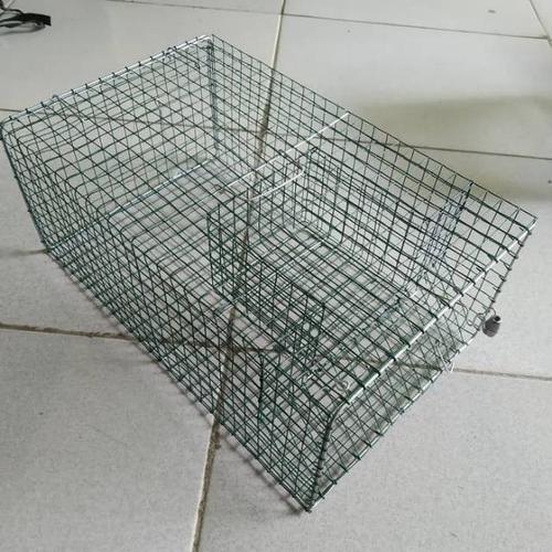 Jual Kandang Perangkap / Jebakan Tikus Massal - Kab. Tangerang - BUN ...