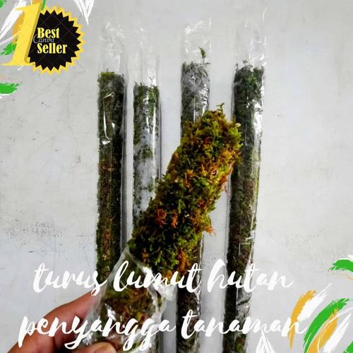 Jual Turus Lumut Pipa 150cm Penyangga Tanaman - Kab. Cianjur - iq store ...