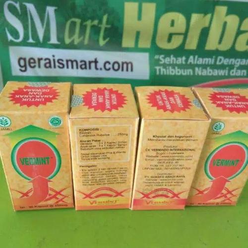 Jual vermint isi 30 kapsul ekstrak cacing tanah obat demam types dbd ...