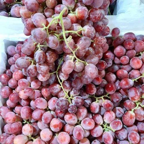 Promo Anggur Red Globe Non Seedless Australia Peru RRC Segar 500gr ...