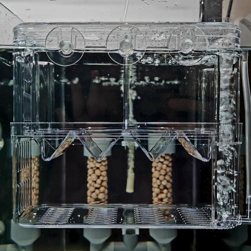 Jual BREEDING BOX SUPER DUPER JUMBO XXL TEMPAT BERSALIN IKAN GUPPY ...