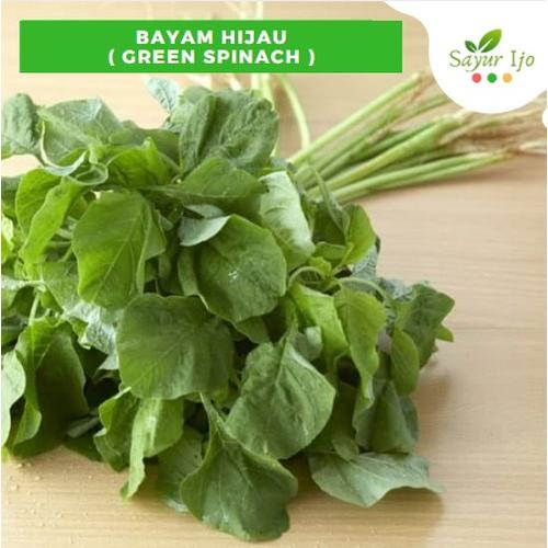 Promo Bayam Hijau 500 Gram / Pack Fresh Spinach Sayur Daun Segar ...