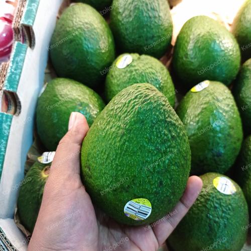 Jual Alpukat Import Hass Australia super 1 kg - Jakarta Barat - HAPPY ...