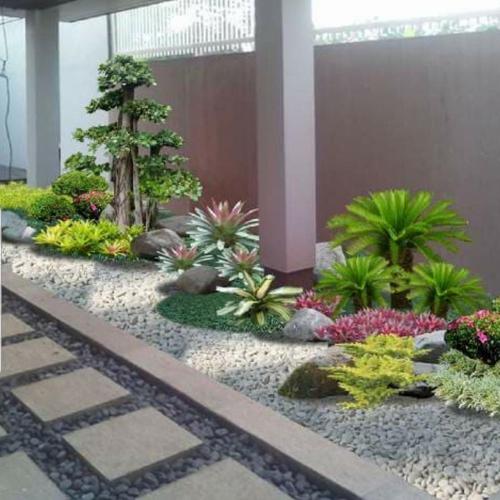 Jual Paket Tanaman Aulia flora - Kota Tangerang Selatan - kios bunga ...