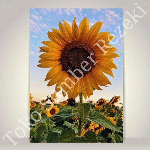 Jual Poster Dinding Bunga Matahari Kuning Sunflower Yellow Paper Kanvas ...