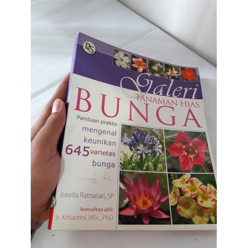 Jual GALERI TANAMAN HIAS BUNGA. MENGENAL VARIETAS BUNGA - KRISANTINI ...