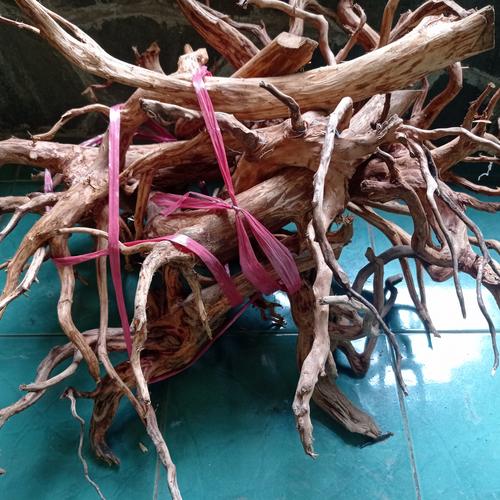 Jual akar rasamala aquascape ukuran xl - Kota Bogor - Lojiaquarium ...