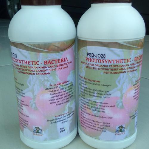 Jual Pupuk Organik Bakteri Fotosintesis PSB Photosynthetic Bacteria ...