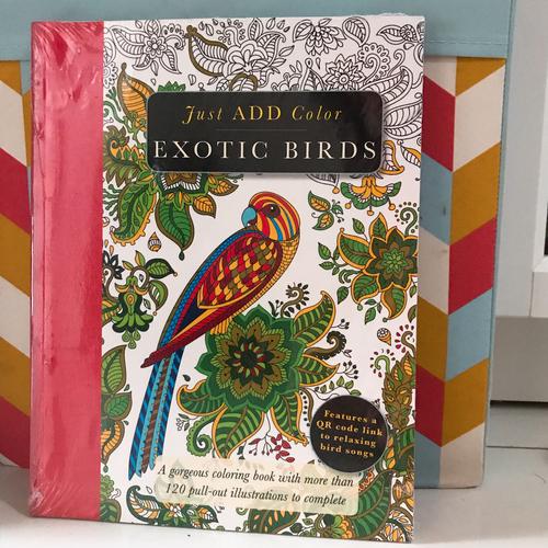 Jual Just Add Color Exoctic Birds Barrons Coloring Book - Jakarta ...