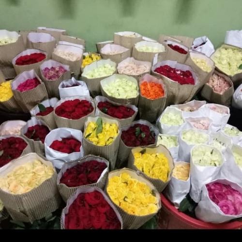 Jual BUNGA MAWAR SEGAR & FRESH (20 tangkai) - Jakarta Barat - DILLA ...