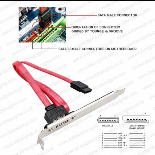 Jual Kabel Sata To Esata Female Header 1x E-Sata 7P Panel PC Sata ...