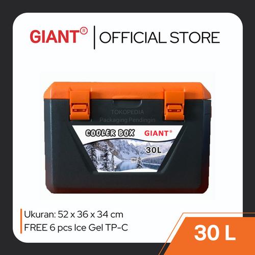 Jual CoolBox 30L 60L Cooler Box Besar Cool Box 30 Liter 60 Liter - 30L ...