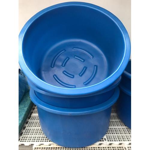 Jual Bak bulat nishikigoi diameter 80cm tinggi 40cm, bak karantina ikan ...