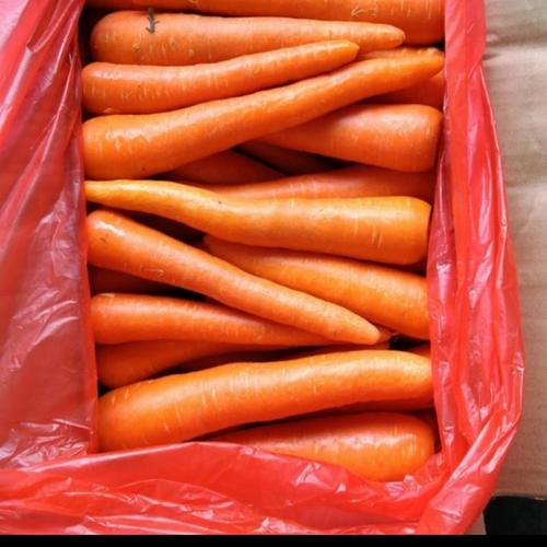 Jual WORTEL IMPORT SEGAR MURAH 1 KG - Jakarta Barat - sayuran murah ...