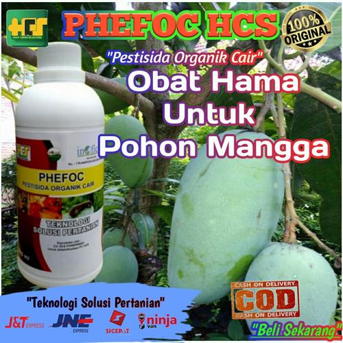 Jual obat hama utk pohon - mangga pupuk anti jamur - phefoc hcs 500 ml ...