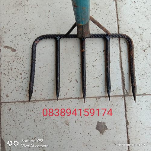 Jual cangkrang jari 5 - Kab. Bogor - Tajur_jaya | Tokopedia