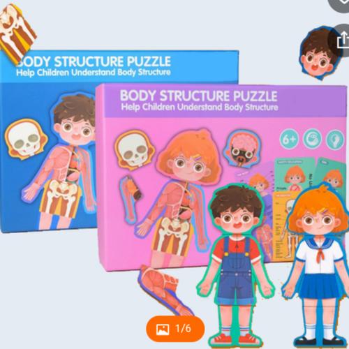 Jual mainan edukasi body structure puzzle untuk mengenal organ dalam tubuh - Boy - Jakarta ...