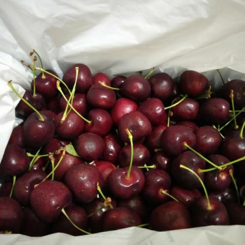 Jual cherry merah USA jumbo | buah ceri manis & segar | 300 grm ...