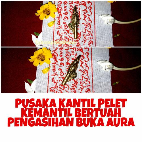 Jual Pusaka Kuno Bunga Kantil Mas - Kab. Bogor - Mbah Makmur Wijaya ...