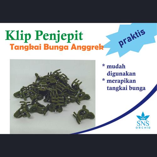 Jual Klip Penjepit Tangkai Bunga Anggrek Bulan Kawat Penopang Kayu ...
