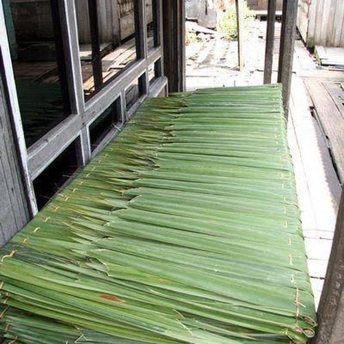 Jual ATAP GAZEBO~ATAP DAHON~ATAP DAUN RUMBIA - Kab. Pangandaran ...