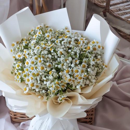 Promo Buket Bunga | Buket Bunga Daisy | Bucket Bunga | Bunga Segar | lb ...