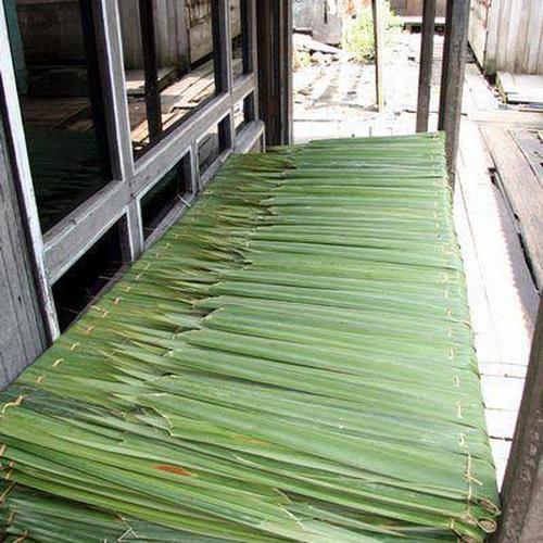 Jual ATAP DAHON~ATAP DAUN RUMBIA perLEMBAR - Jakarta Selatan ...