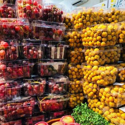 Jual Mika Box Sayur Buah MB-800 Xtra Large - Jakarta Utara - mika JF ...