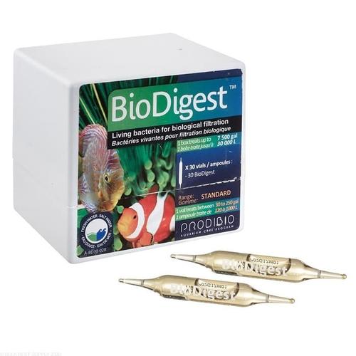 Jual Bakteri Starter Prodibio BioDigest (1 vial) Bio Digest Cair ...