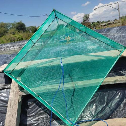 Jual anco tambak udang kontrol pakan - 40cmX40cmX20cm - Kota Pangkal ...