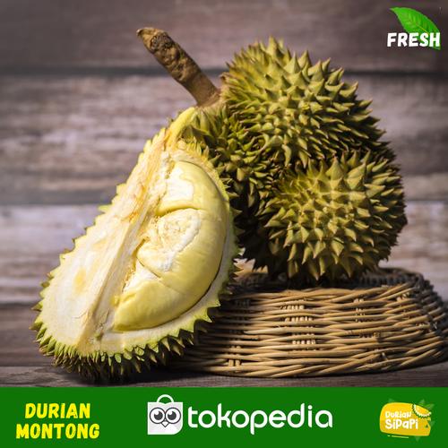 Jual Durian Montong Bali-Palu Premium Fresh Utuh Pilihan - Durian SiPapi - 3 - Kota Depok ...